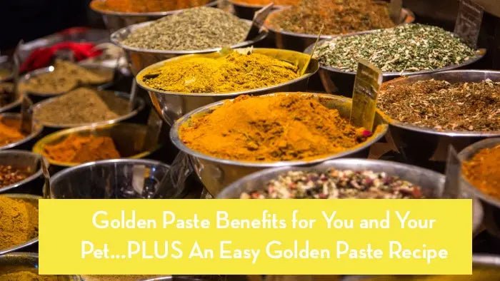 Golden Paste Benefits for You and Your Pet… PLUS An Easy Golden Paste