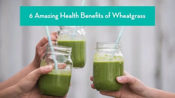 The Benefits of Wheatgrass: 6 Healthy Reasons to Start Taking ...