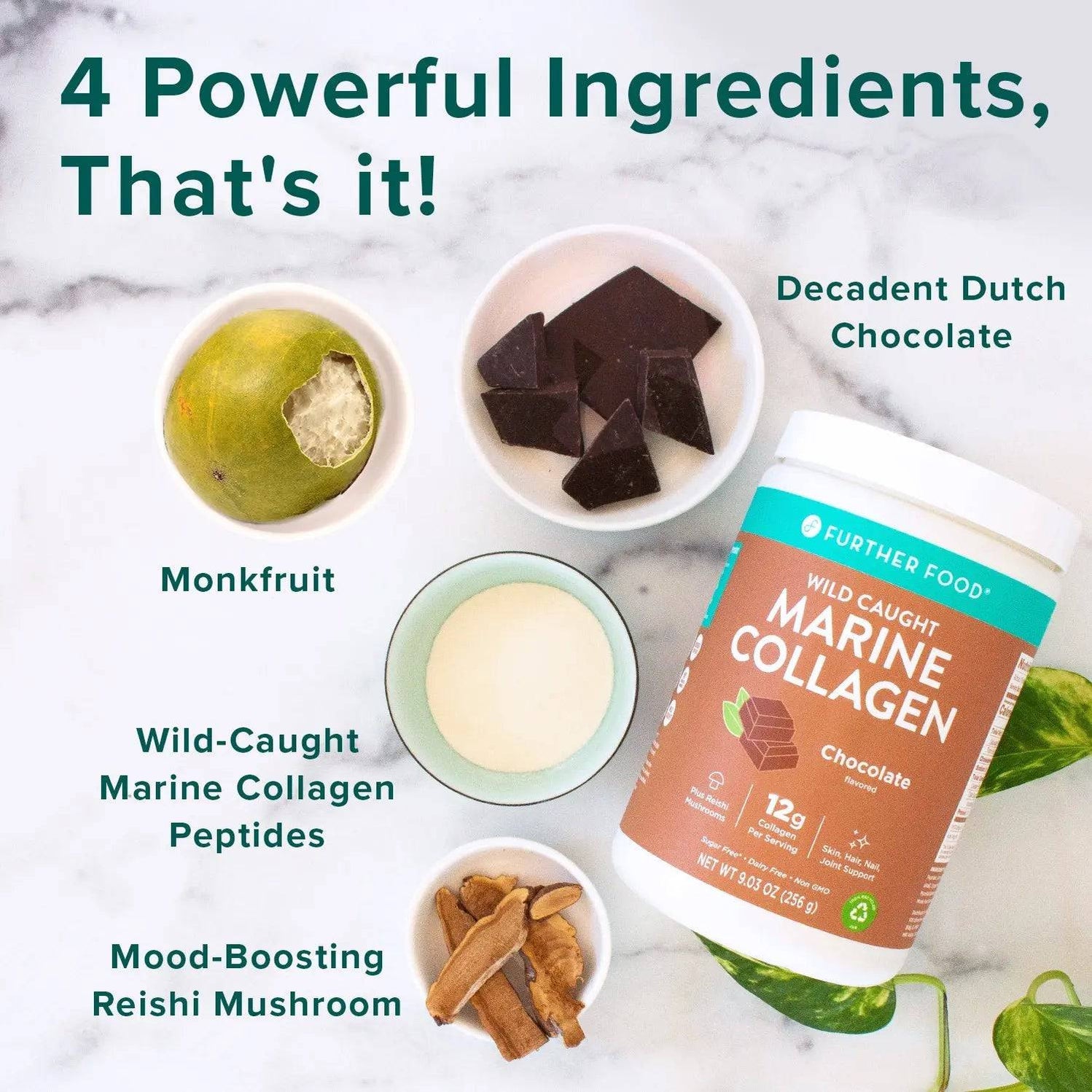 Collagen Supplements | Collagen Peptide Supplements | Further Food
